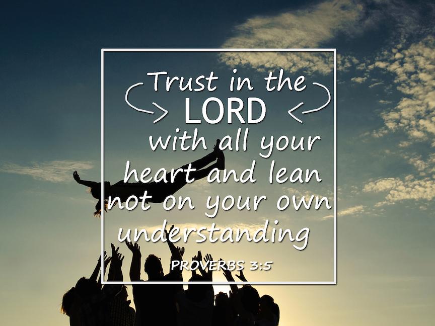 Proverbs 3:5 #2 NIV Trust in the Lord Bible Verse Wall Art Canvas ...