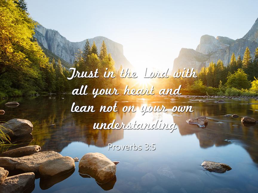 Proverbs 3:5 #5 NIV Trust in the Lord Bible Verse Wall Art Canvas ...