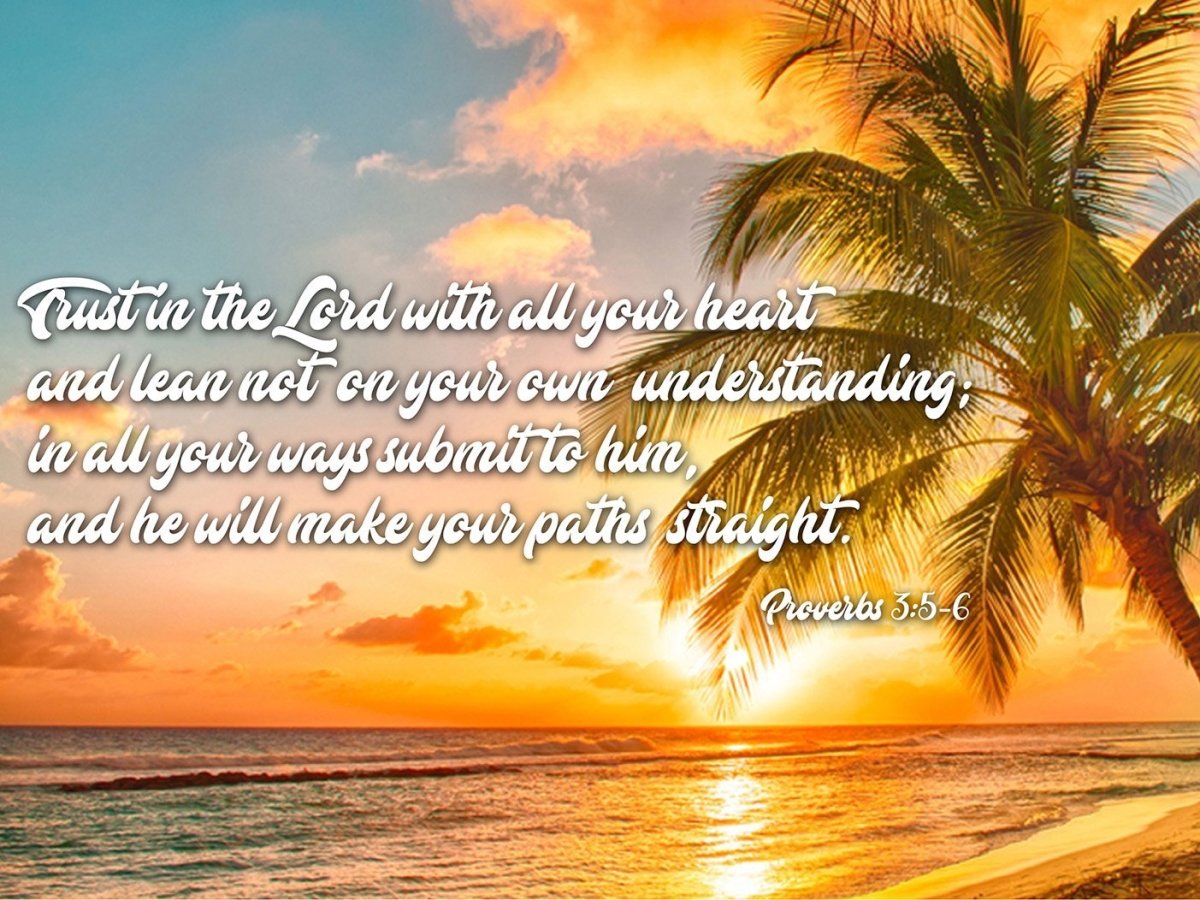 Proverbs 3:5-6 #4 NIV Trust in the Lord Wall Art Canvas – Christian Walls