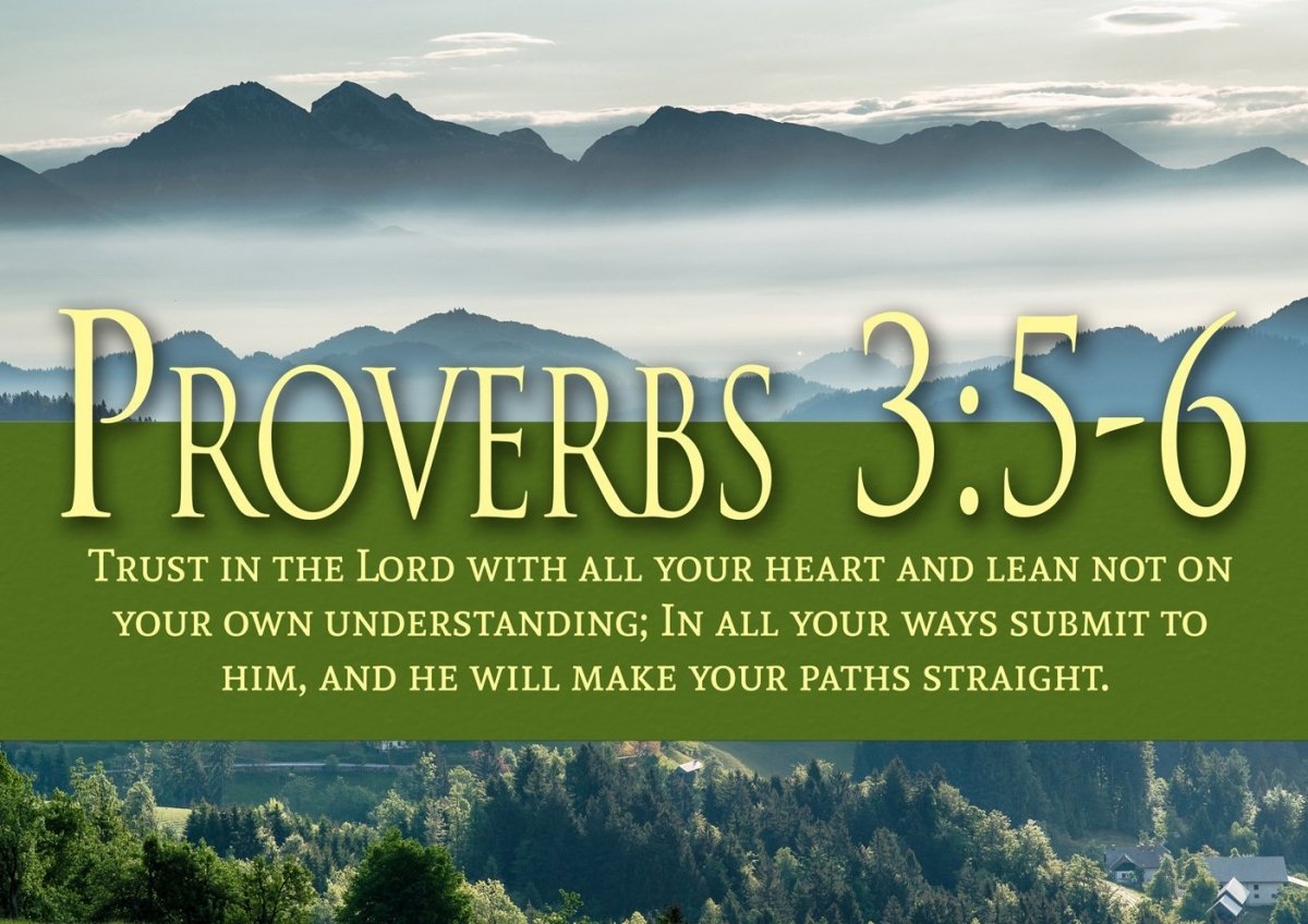 Proverbs 3 5 6 NIV 54 Bible Verse Canvas Wall Art Christian Walls Proverbs 3 5 6 NIV 54 Bible Verse Canvas Wall Art Christian Walls