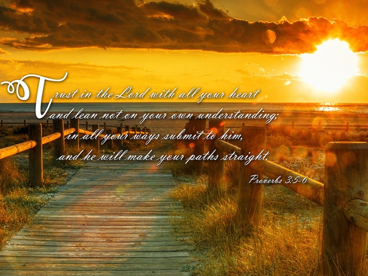 Proverbs 3:5-6 NIV Trust in the Lord Bible Verse Wall Art Canvas ...