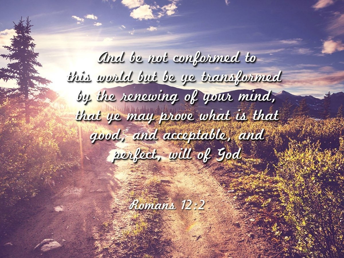 Romans 12:2 #1 KJV Do not conform to the World Bible Verse Wall Art Ca ...