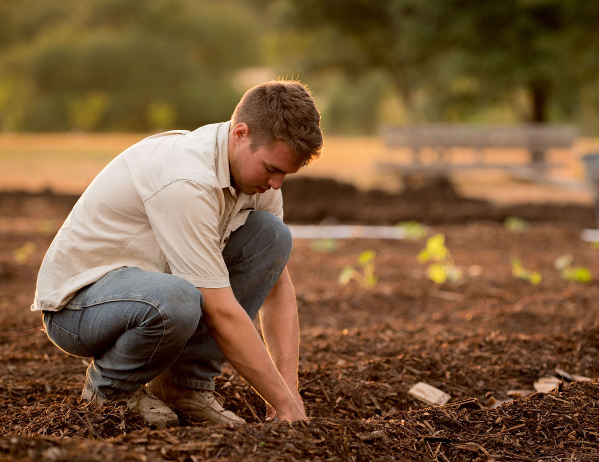 The REAL (Biblical) Meaning of George? - Origin, History & Stories ...