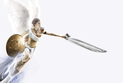 Sword And Shield Bible