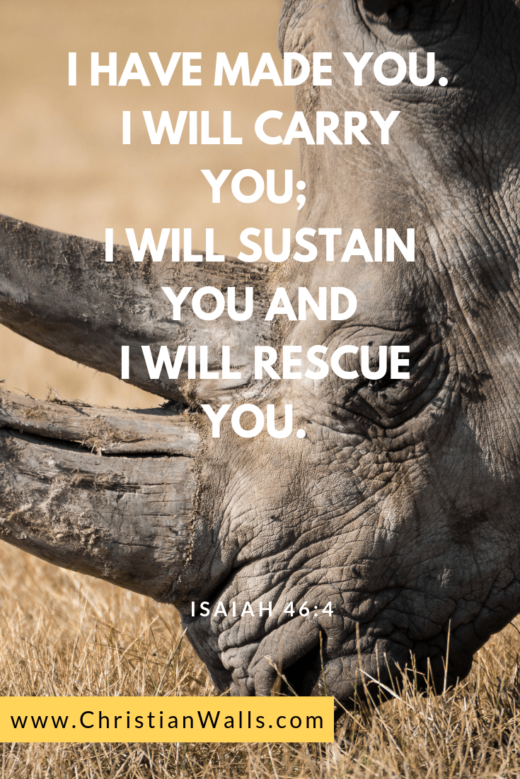 Top 26 Christian Quotes about Salvation – Christian Walls