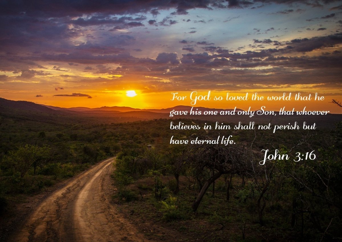 John 3:16 NIV #20 Bible Verse Canvas Wall Art – Christian Walls