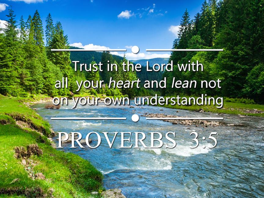 Proverbs 3:5 #6 NIV Trust in the Lord Bible Verse Wall Art Canvas ...