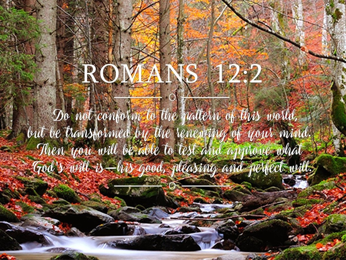 Romans 12:2 #7 NIV Do not conform to the pattern Bible Verse Wall Art ...