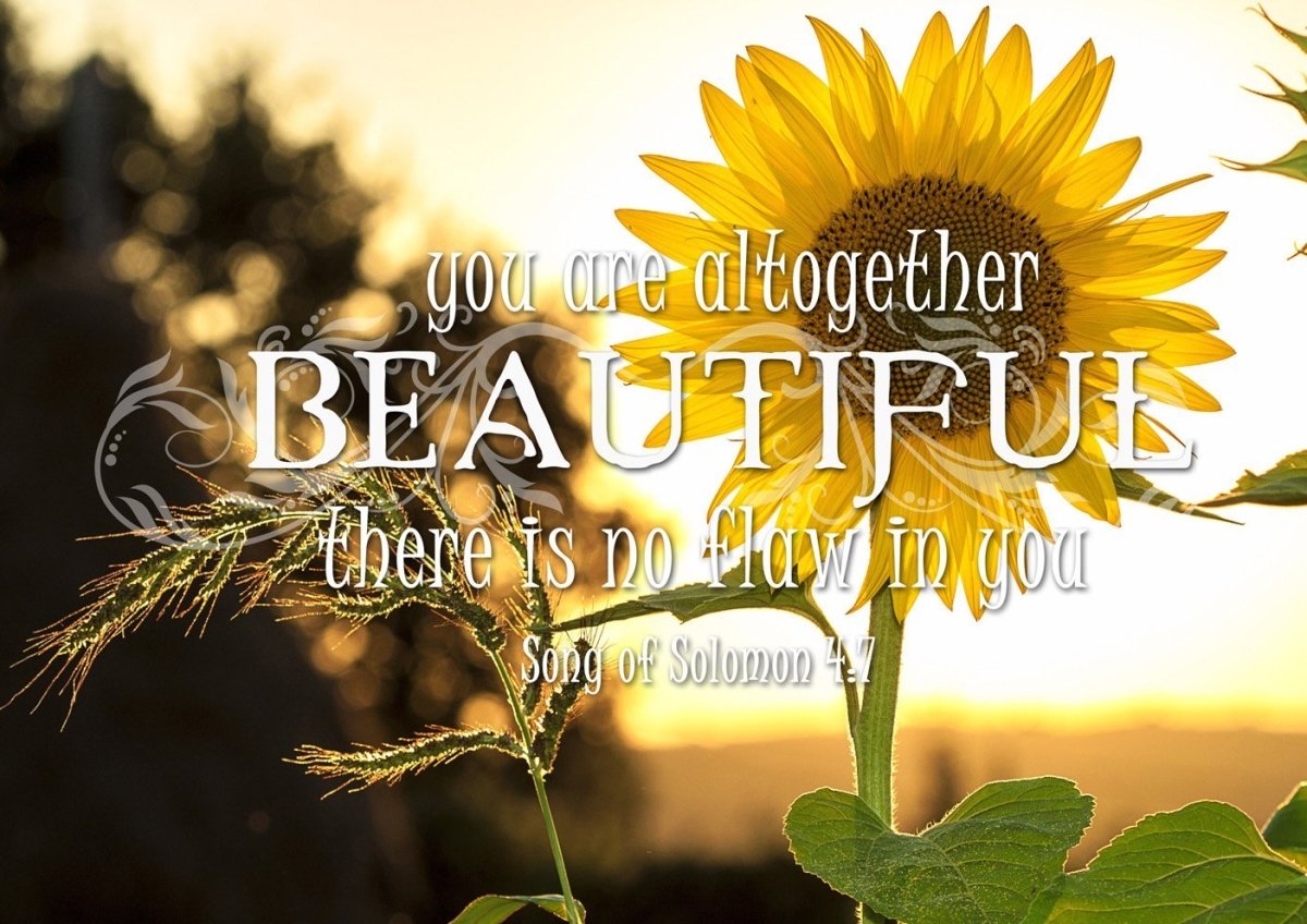 Song of Solomon 4:7 You are Altogether Beautiful Canvas Wall Art Print ...